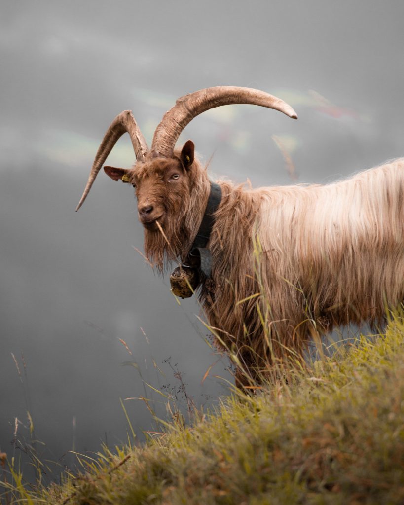 Dolomites Bucket List: 27 must-visit places in the Dolomites, Italy