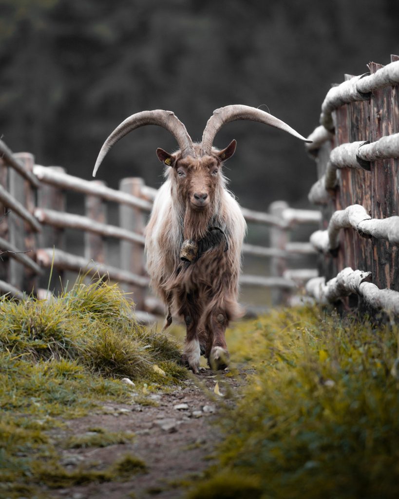 Dolomites Bucket List: 27 must-visit places in the Dolomites, Italy