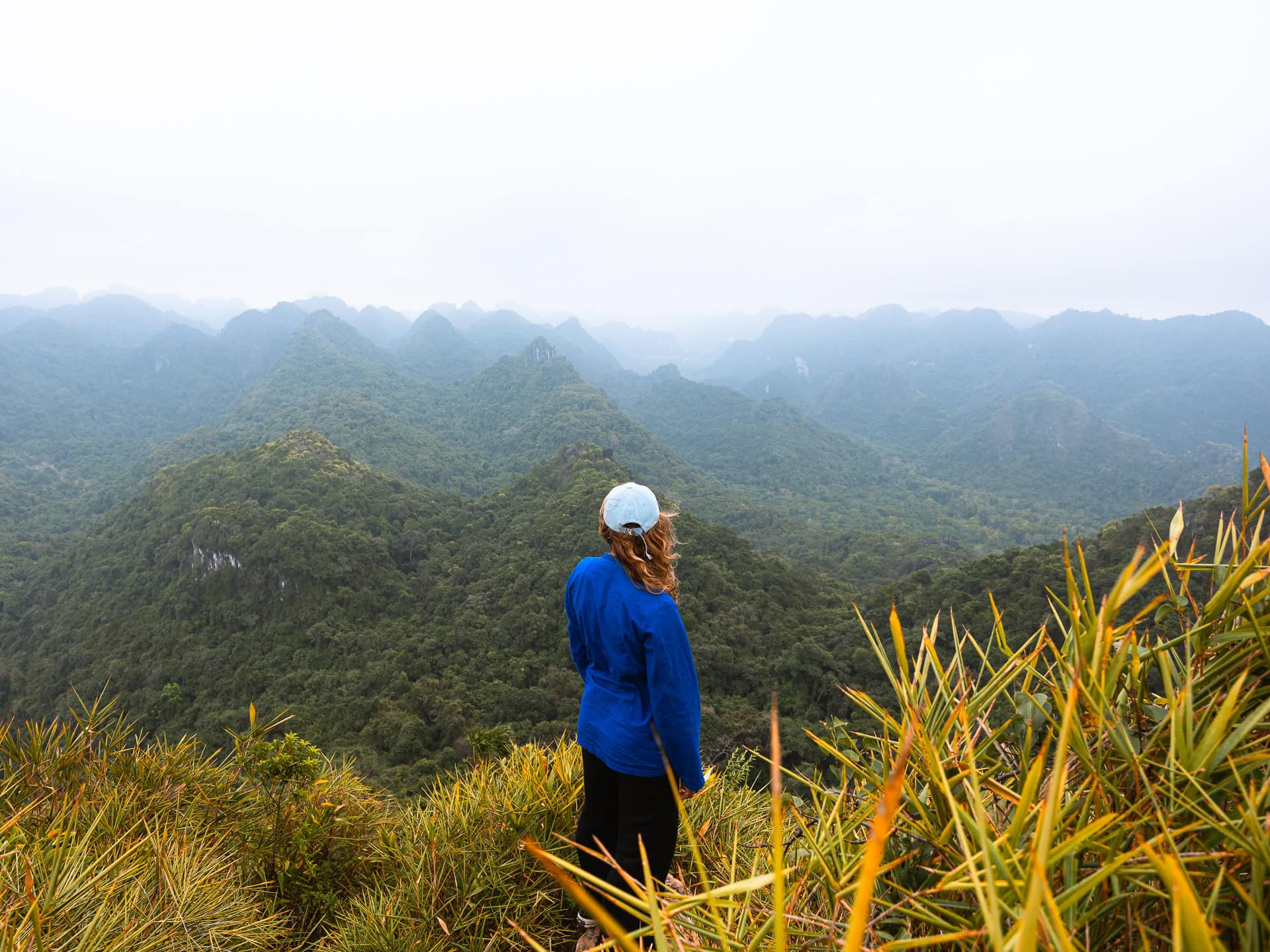 Cat Ba National Park: Full Guide to Ngu Lam Peak Hike (2025)